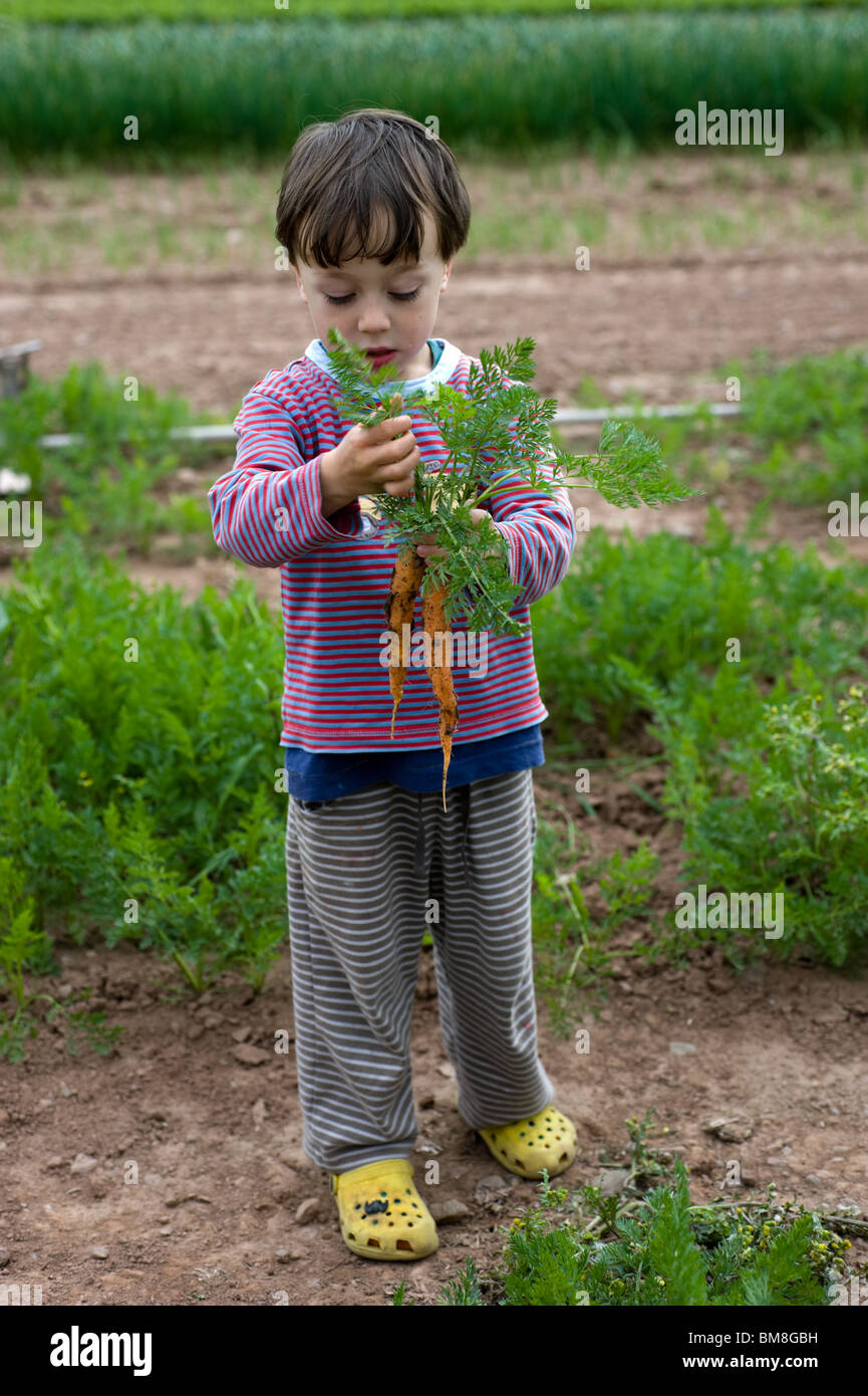 Boy bunch carrots hi-res stock photography and images - Alamy