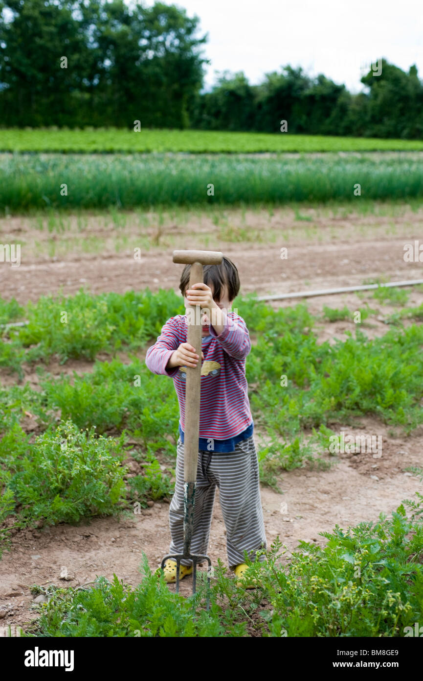 Boy digging vegetables hi-res stock photography and images - Alamy