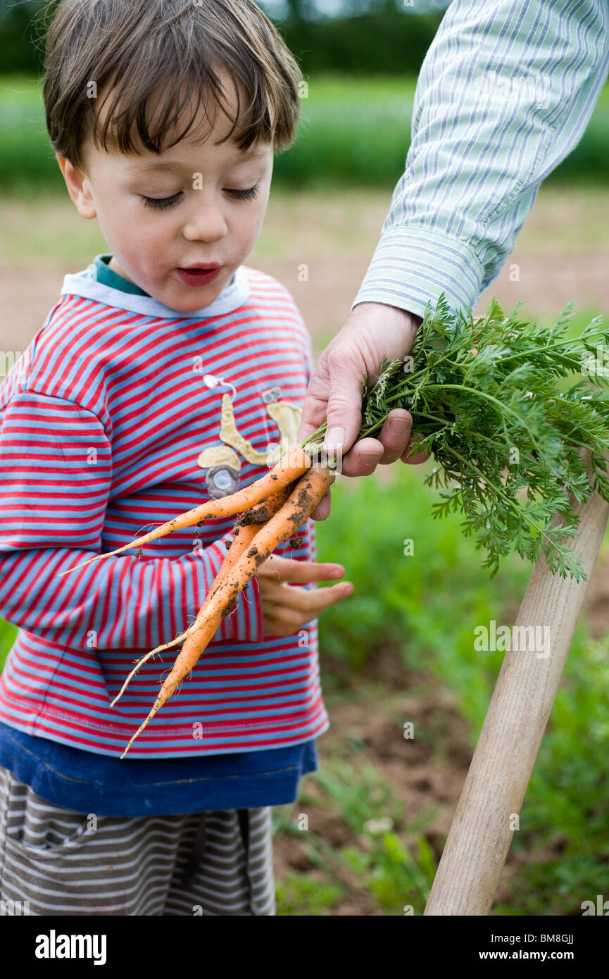 Boy digging vegetables hi-res stock photography and images - Alamy