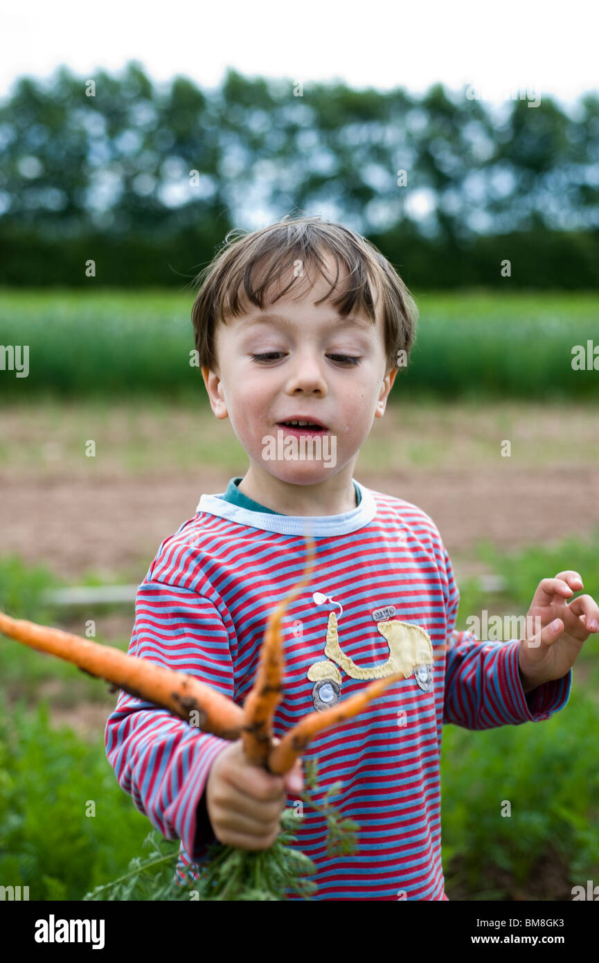 Boy digging vegetables hi-res stock photography and images - Alamy