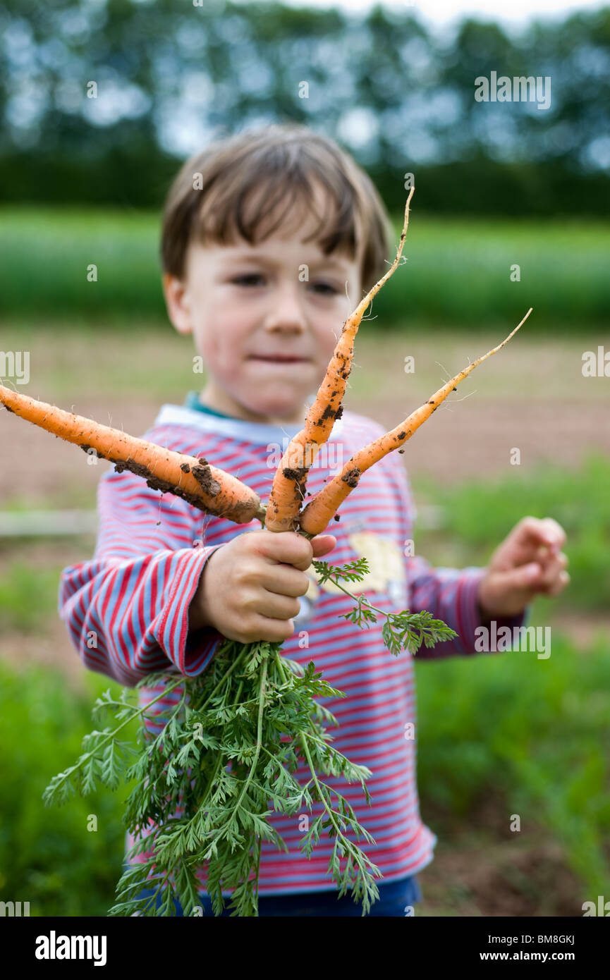 Boy digging vegetables hi-res stock photography and images - Alamy