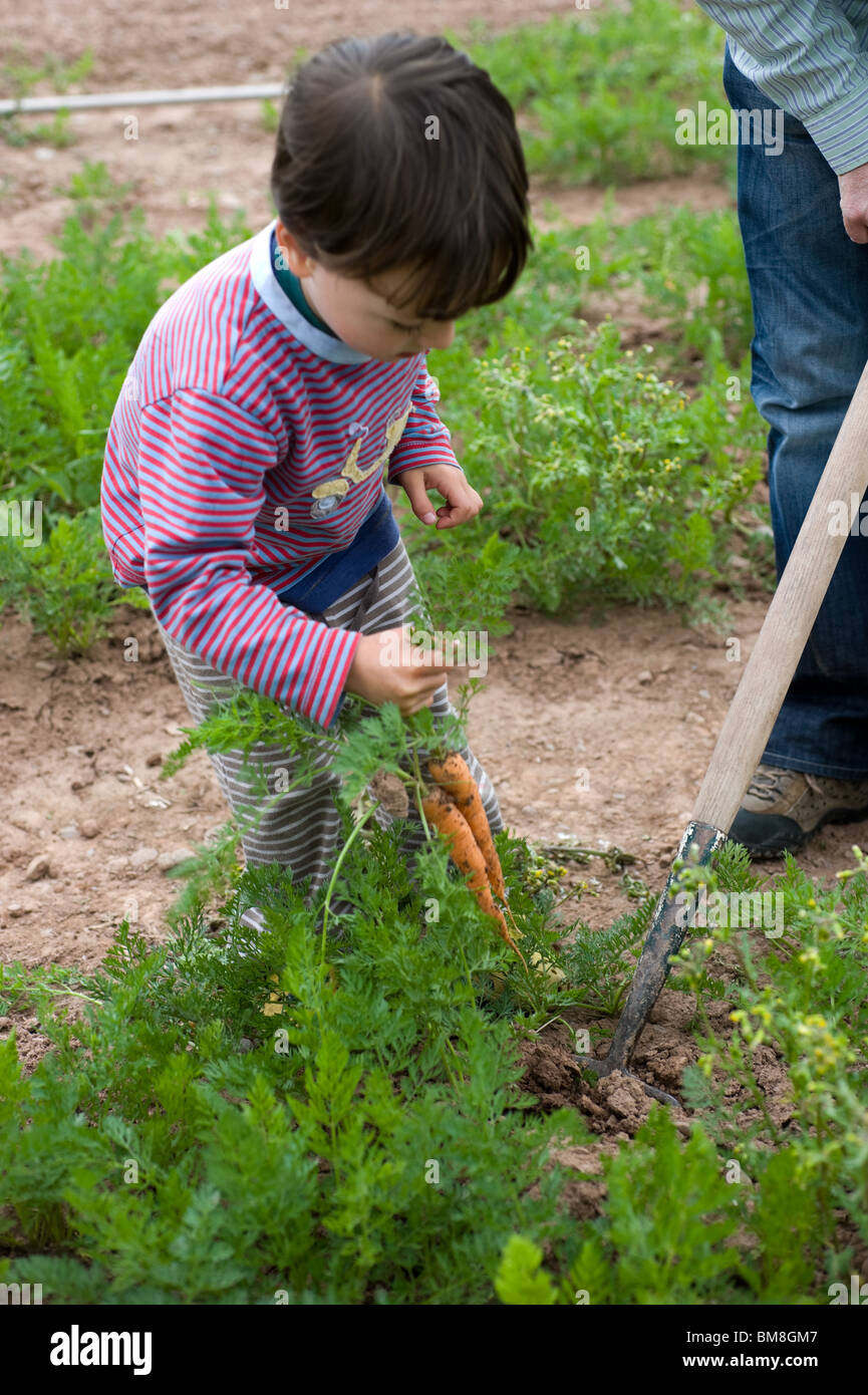 Orange crocs hi-res stock photography and images - Alamy