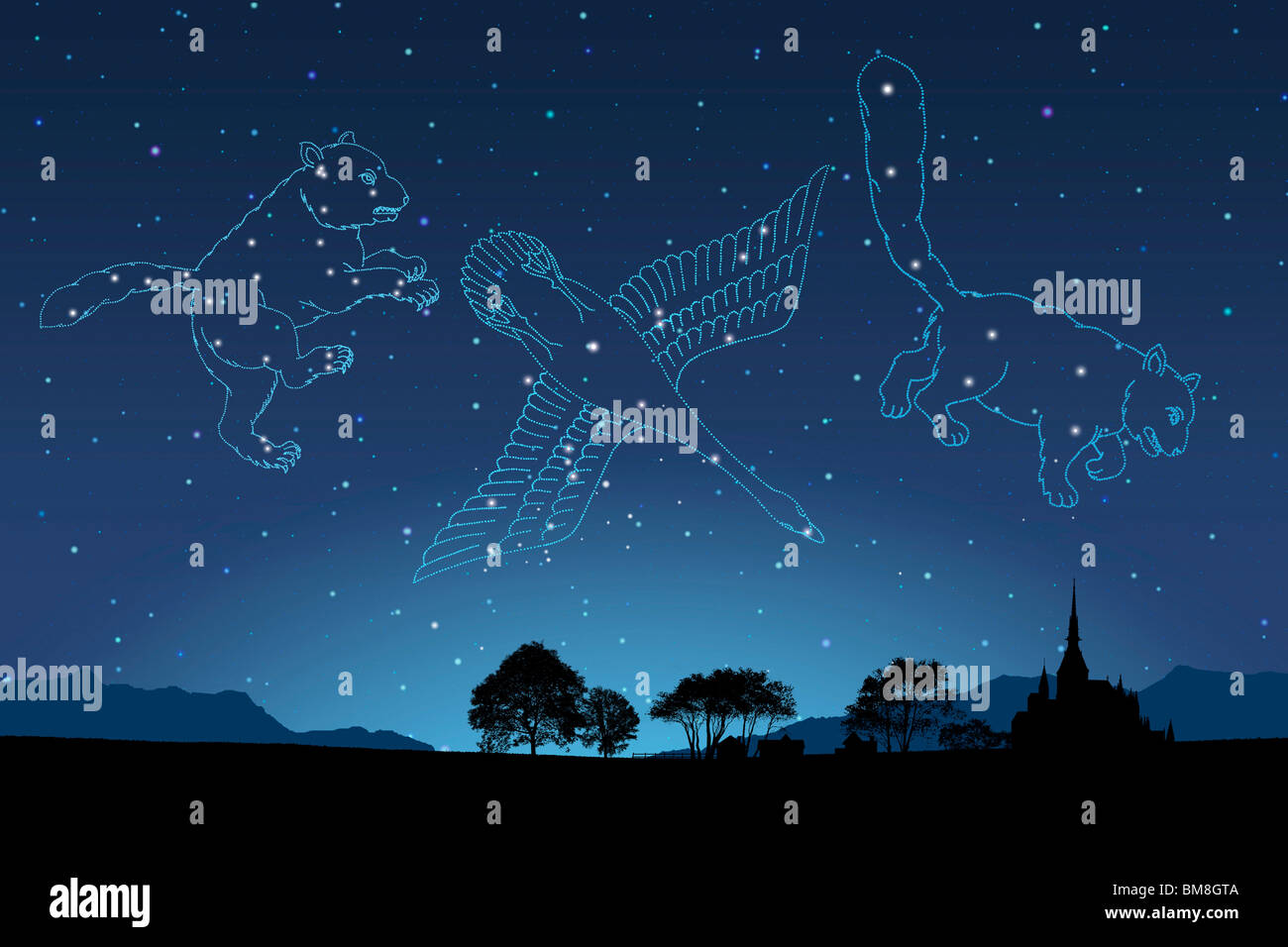 Image of Astrology signs, (Cygnus, Ursa Major, Ursa Minor Stock Photo ...