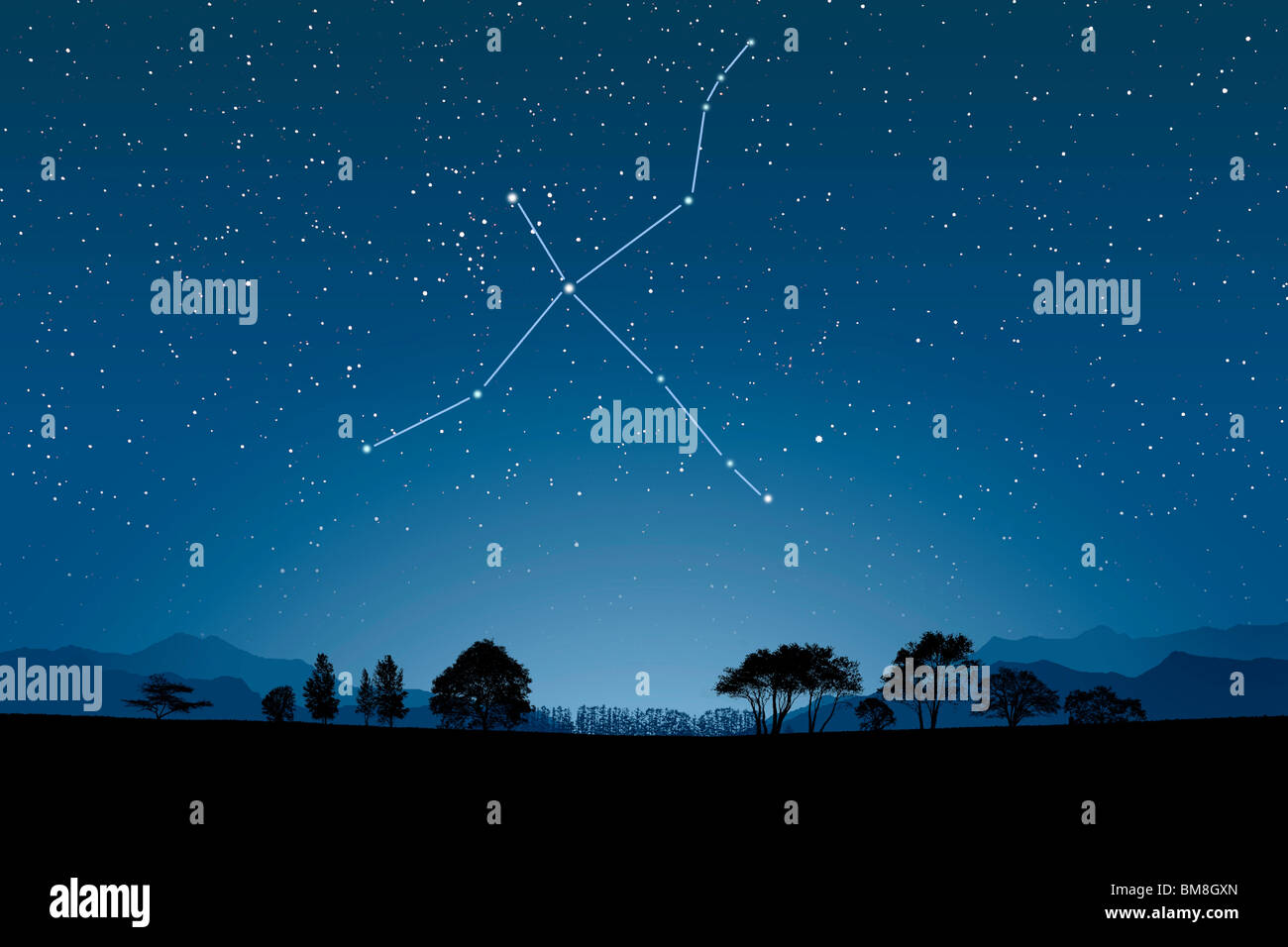 Image of Astrology sign, Cygnus Stock Photo - Alamy