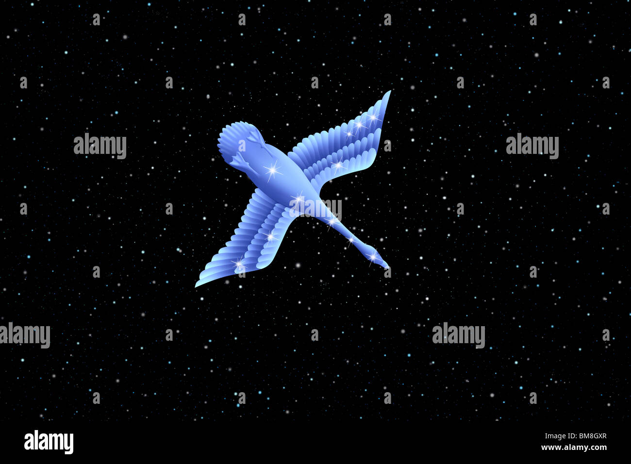 Image of Astrology sign, Cygnus, black background Stock Photo - Alamy