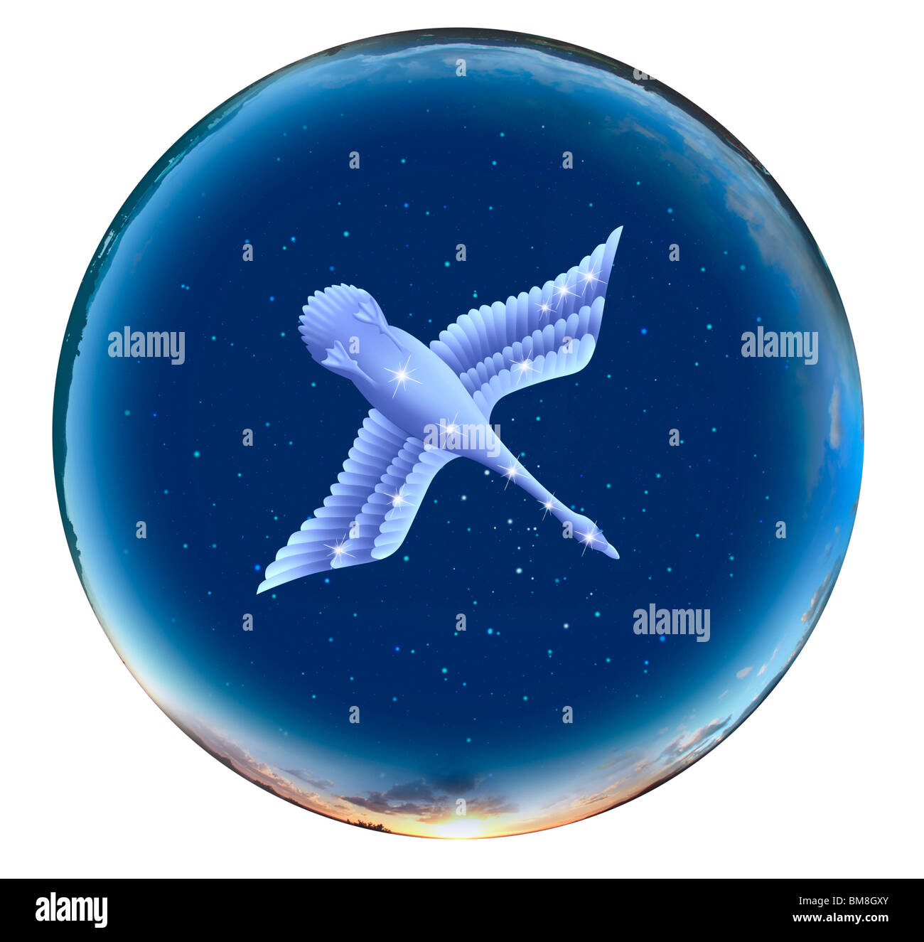 Image of Astrology sign, Cygnus, white background Stock Photo - Alamy