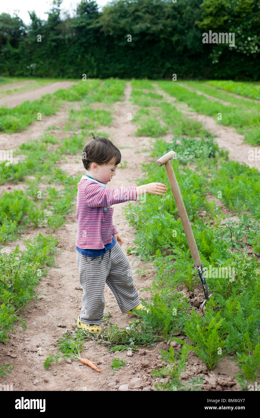 Boy digging vegetables hi-res stock photography and images - Alamy