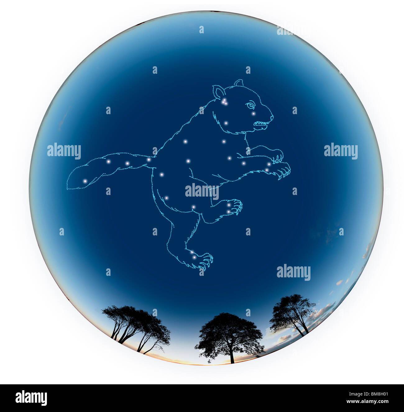 Ursa major hi-res stock photography and images - Alamy