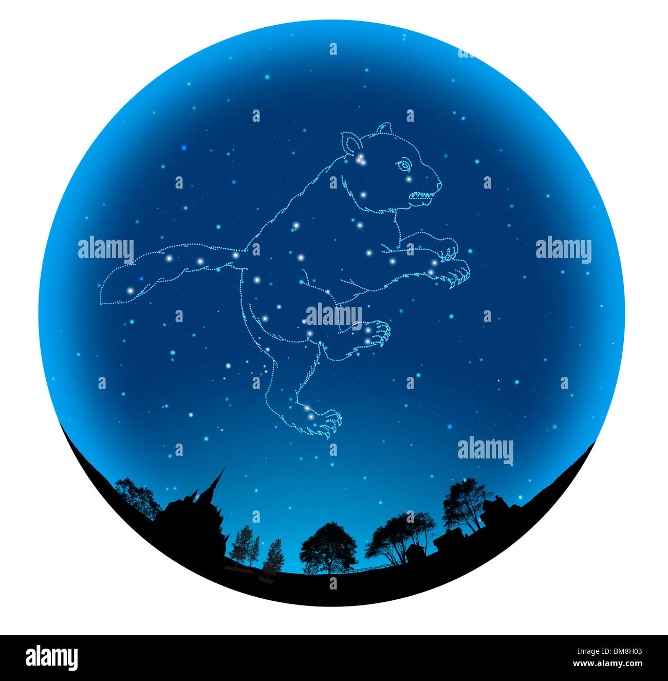 Ursa major bear hi-res stock photography and images - Alamy