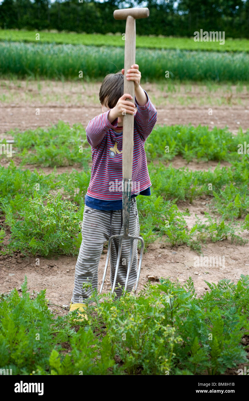 Boy digging vegetables hi-res stock photography and images - Alamy