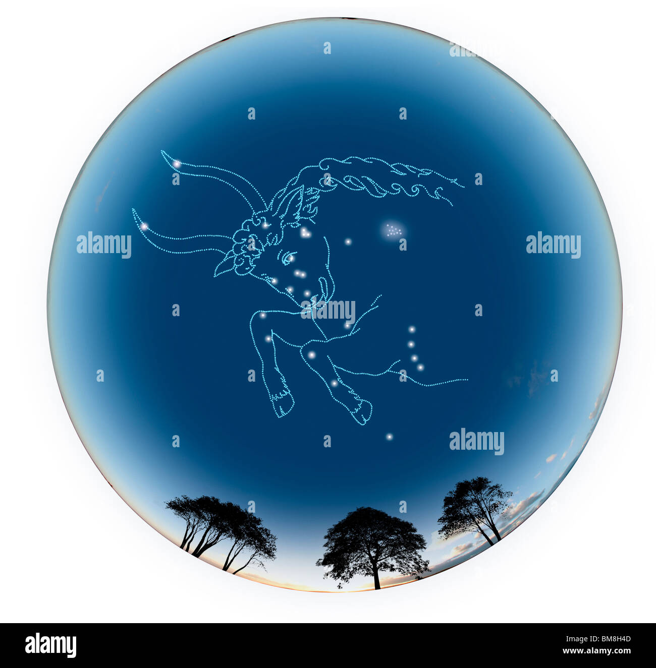 Star Sign, Taurus Stock Photo - Alamy