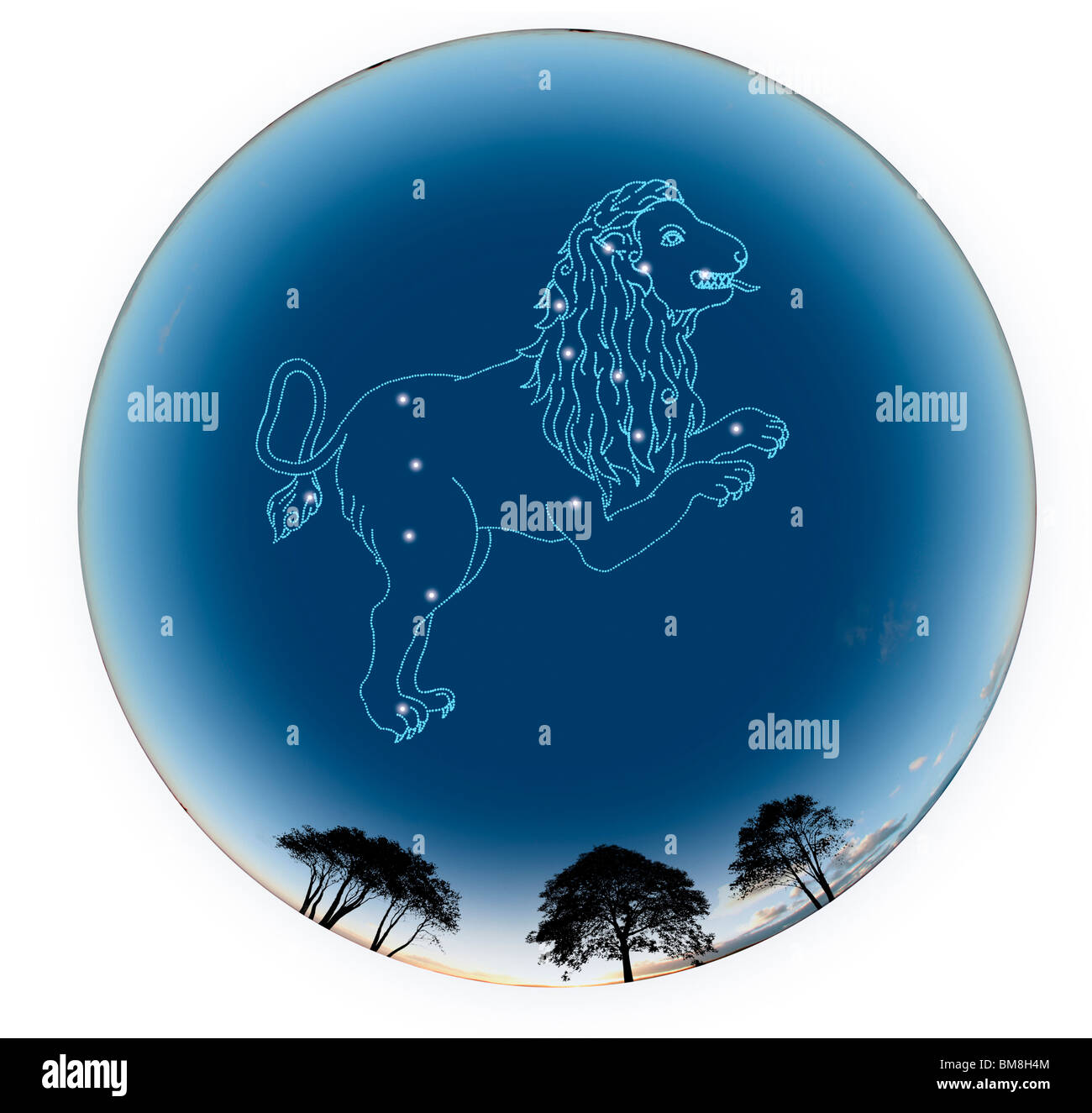 Star Sign, Leo Stock Photo - Alamy