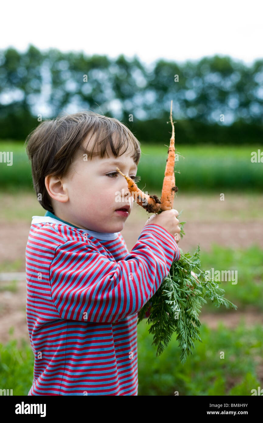 Boy digging vegetables hi-res stock photography and images - Alamy