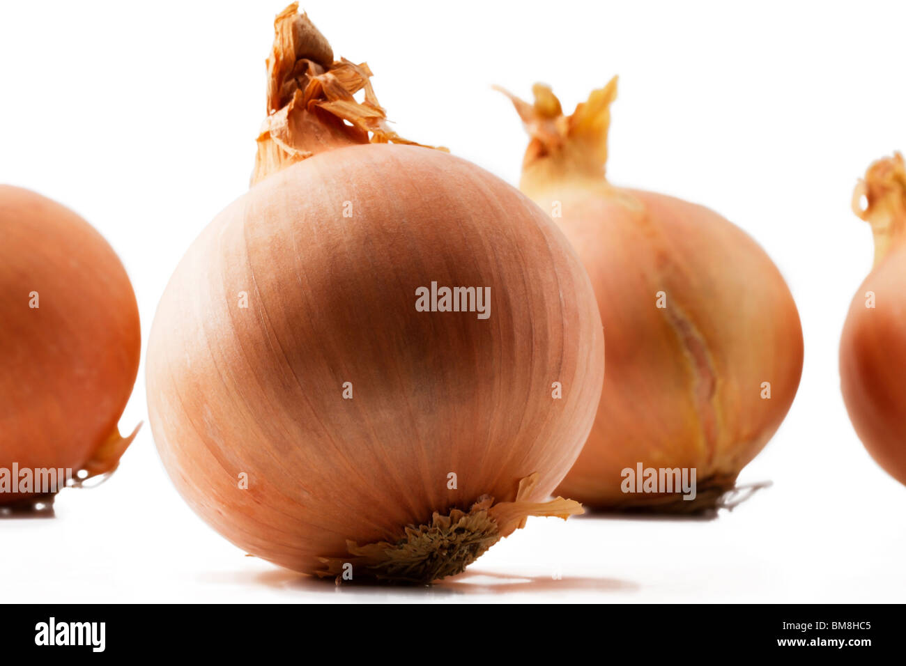 Brown onion onions hi-res stock photography and images - Alamy