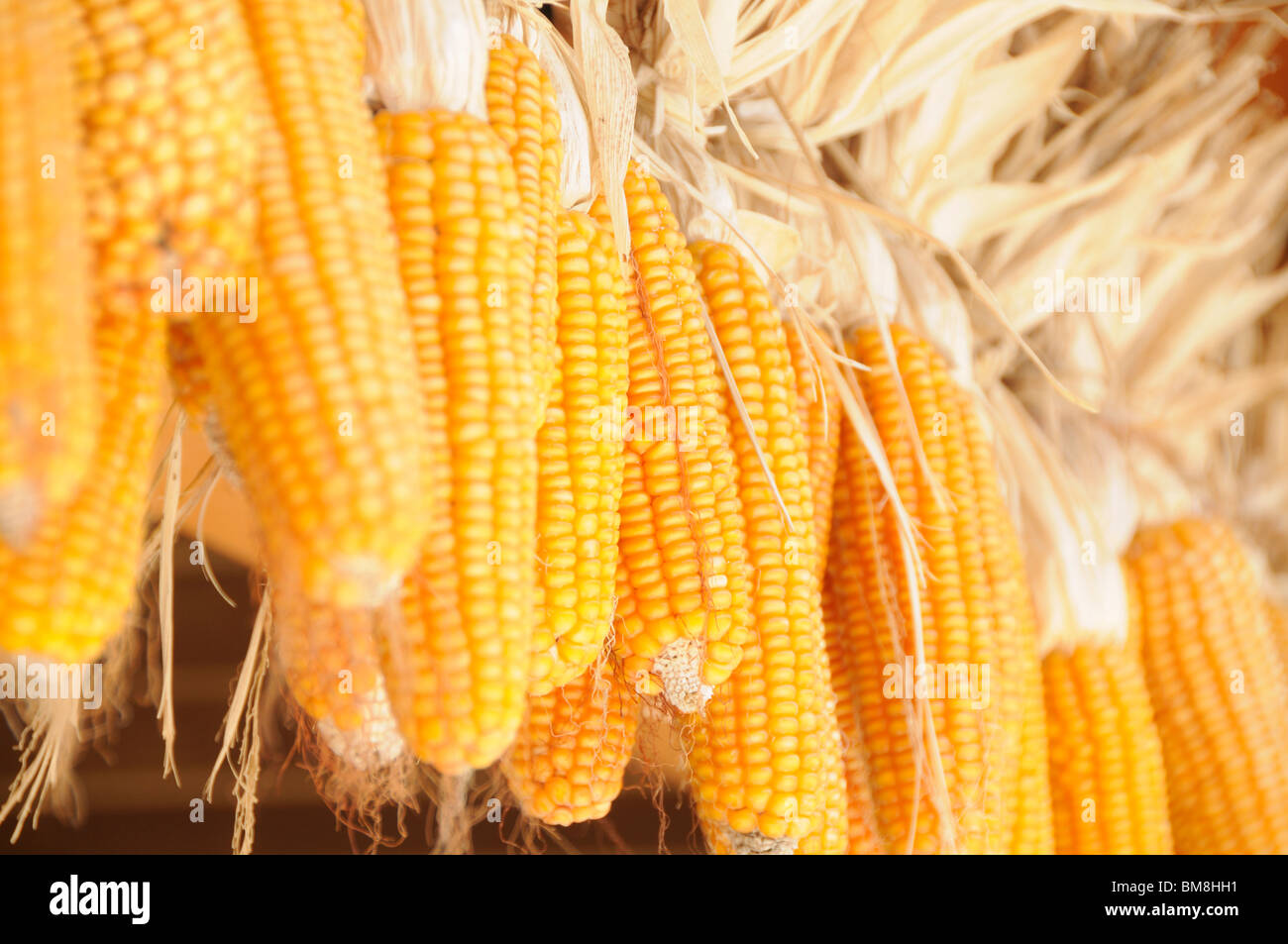 Drying ups hi-res stock photography and images - Alamy