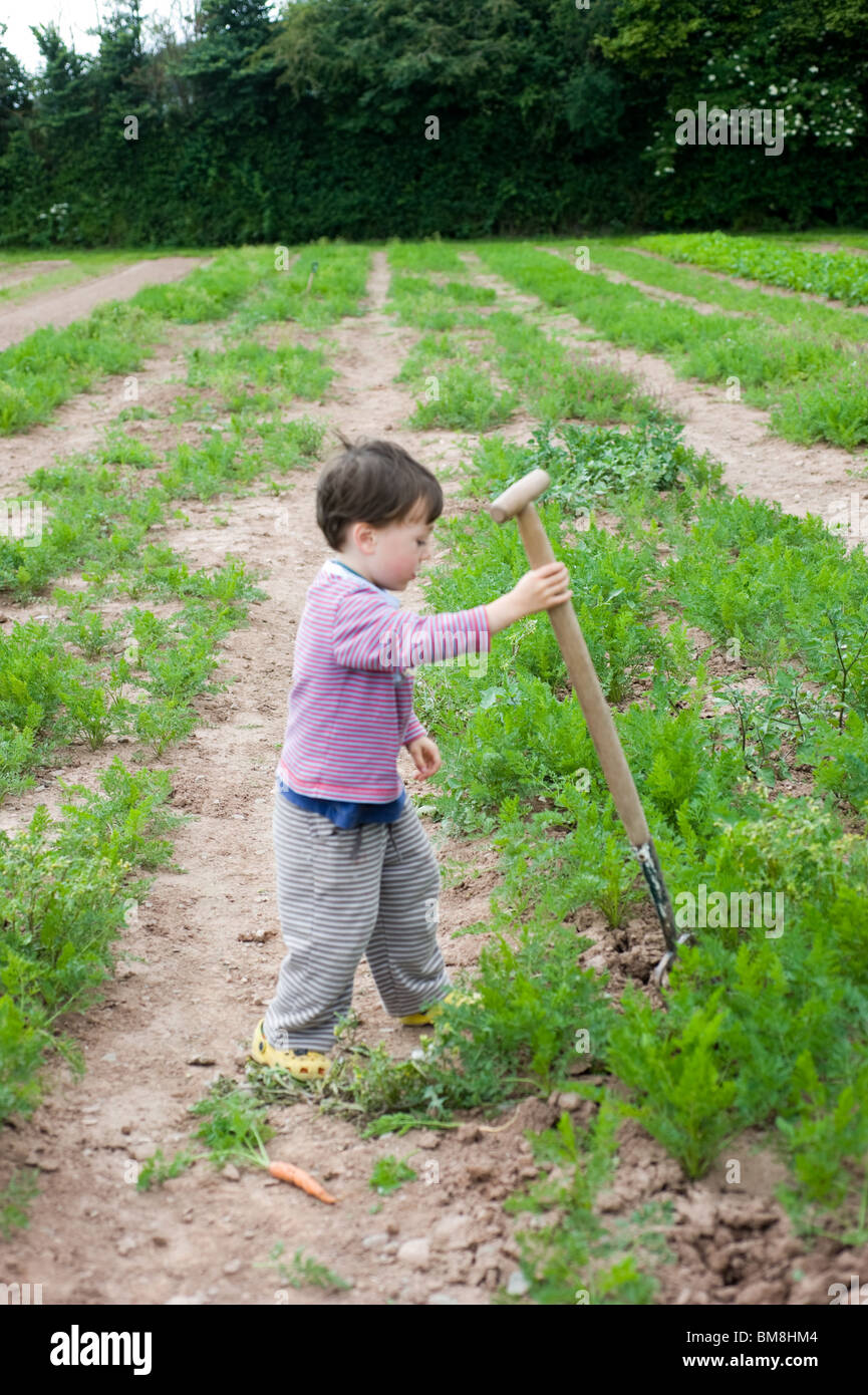 Boy digging vegetables hi-res stock photography and images - Alamy