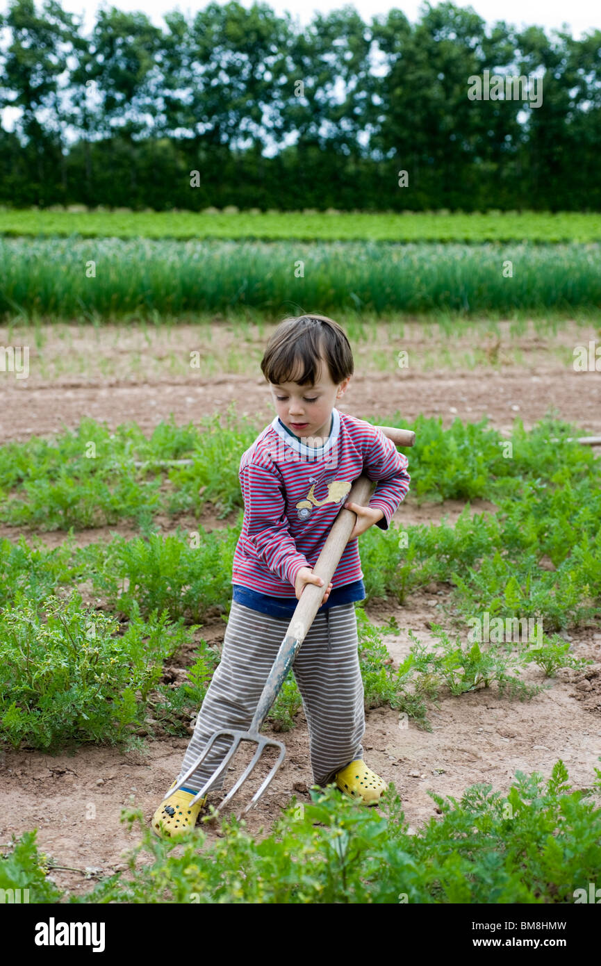 Boy digging vegetables hi-res stock photography and images - Alamy