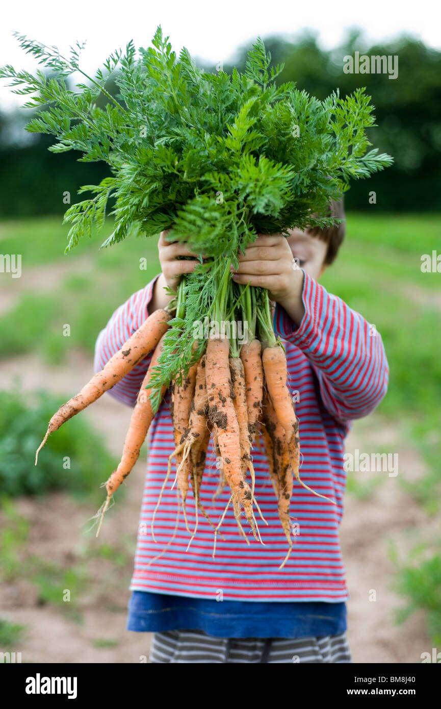 Boy digging vegetables hi-res stock photography and images - Alamy
