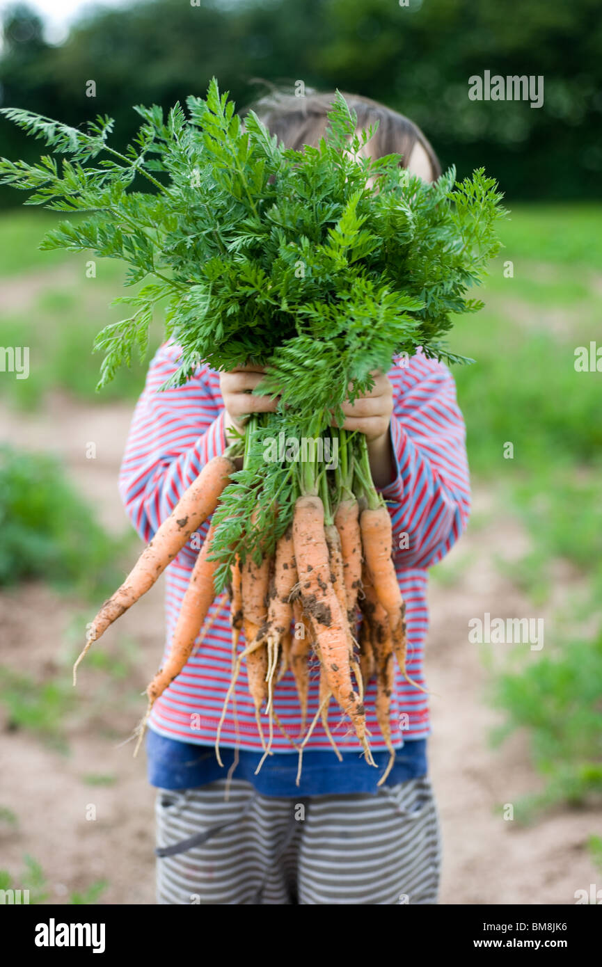 Boy digging vegetables hi-res stock photography and images - Alamy