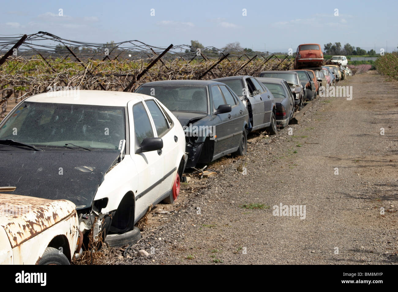 Israel, Old Car's cemetery Stock Photo - Alamy