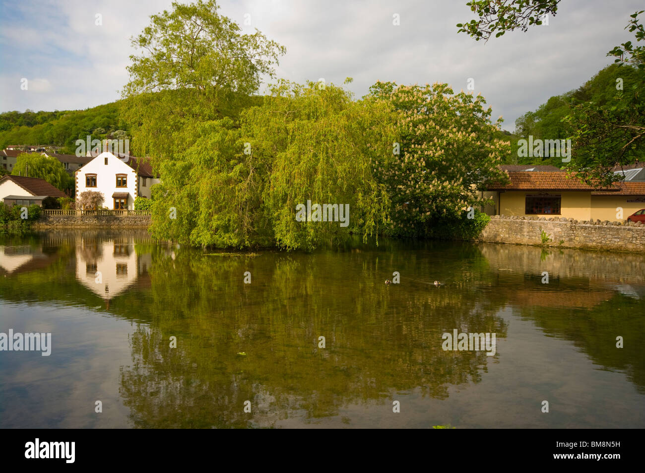 Cheddar village hi-res stock photography and images - Alamy