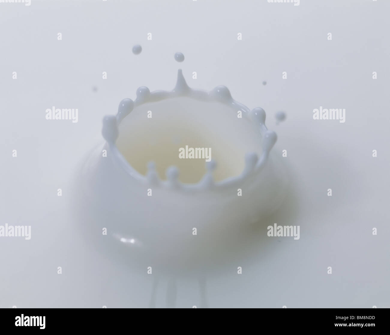 Drop of milk splashing Stock Photo - Alamy