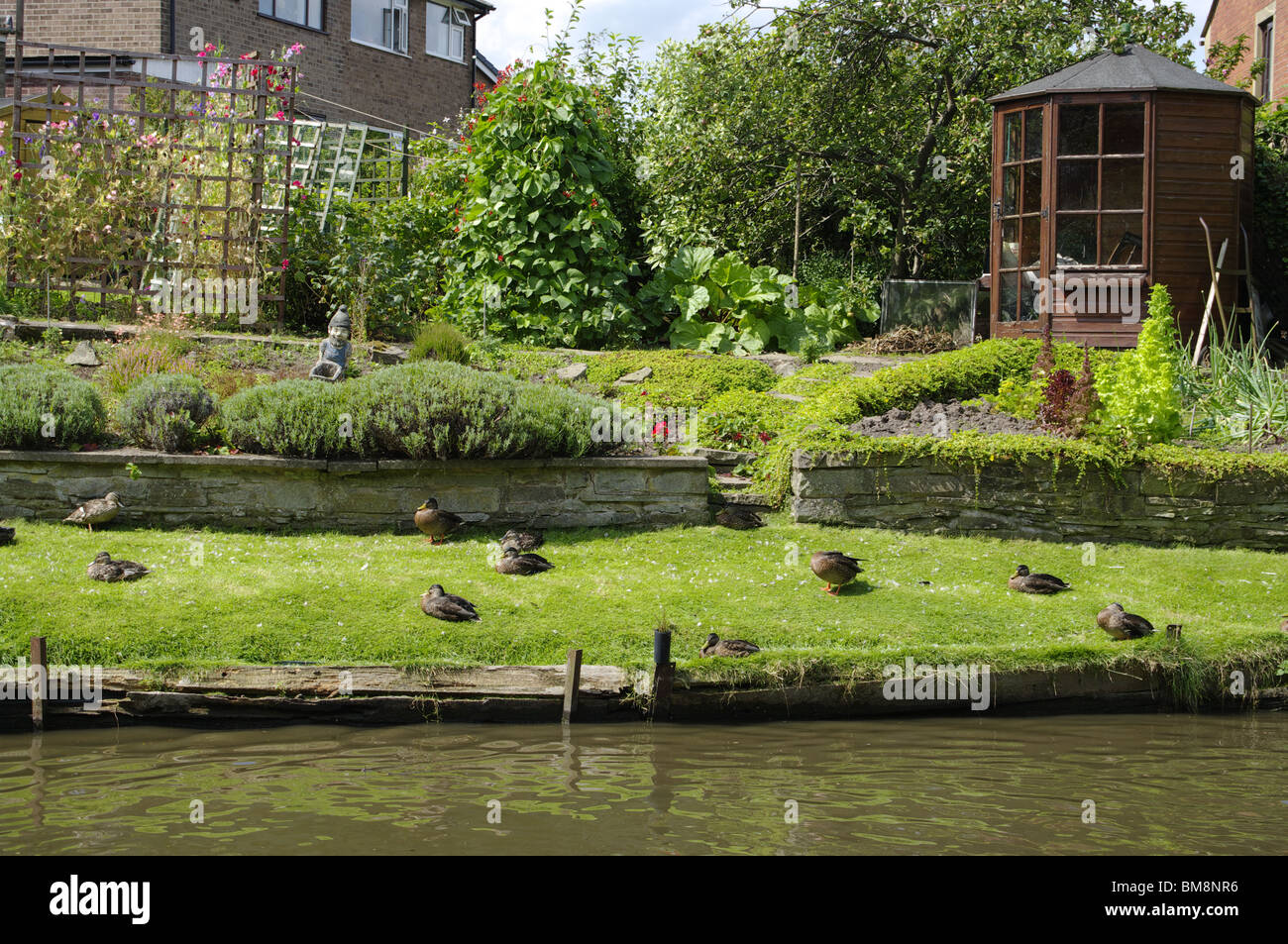 Canal side garden Stock Photo - Alamy