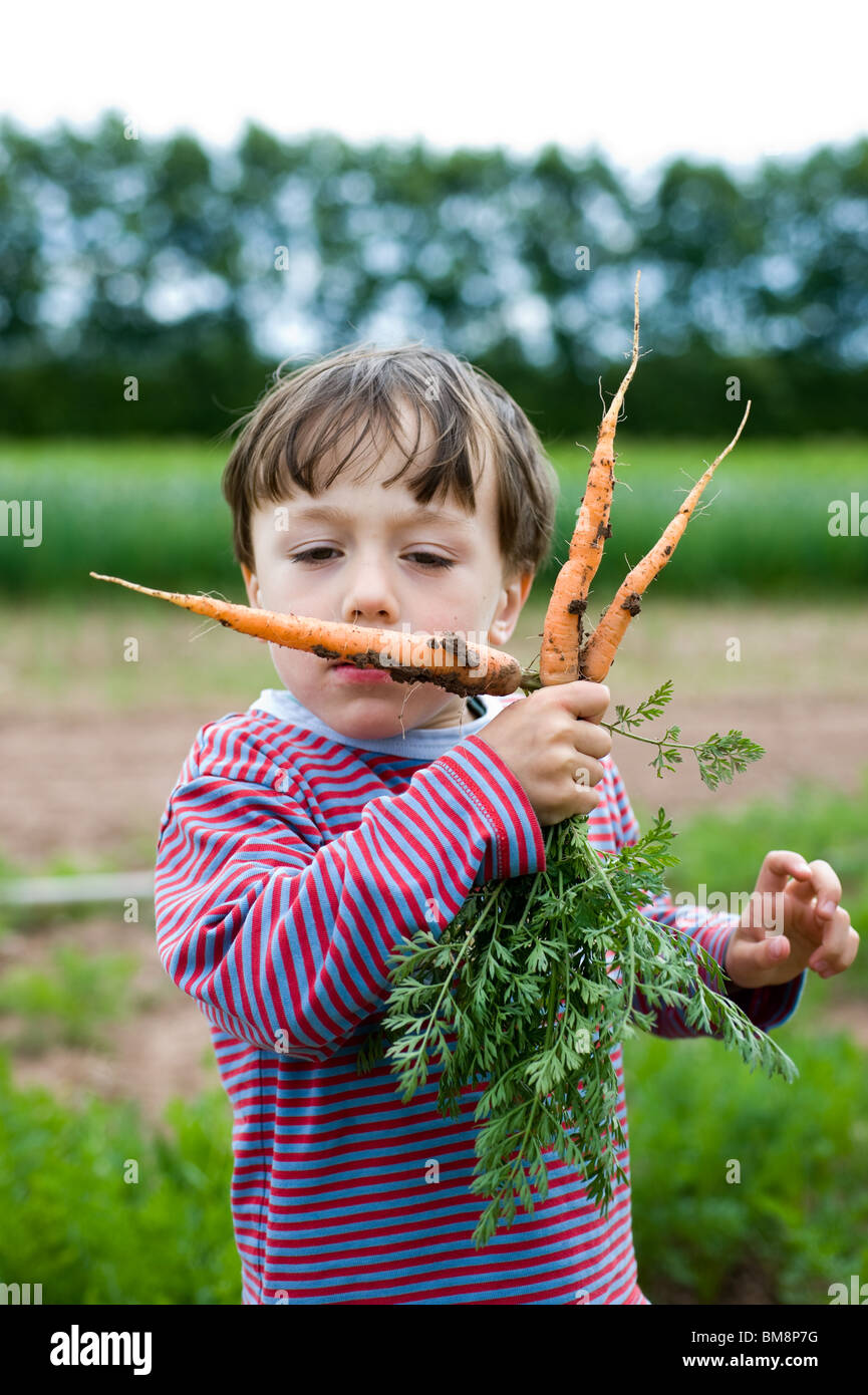 Boy digging vegetables hi-res stock photography and images - Alamy