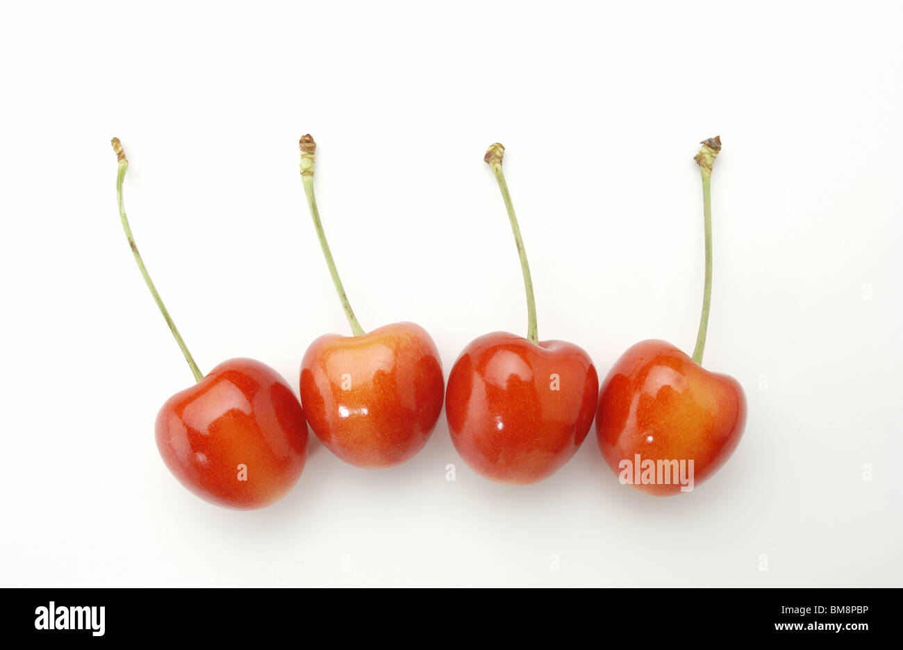 Four cherries on white background Stock Photo - Alamy