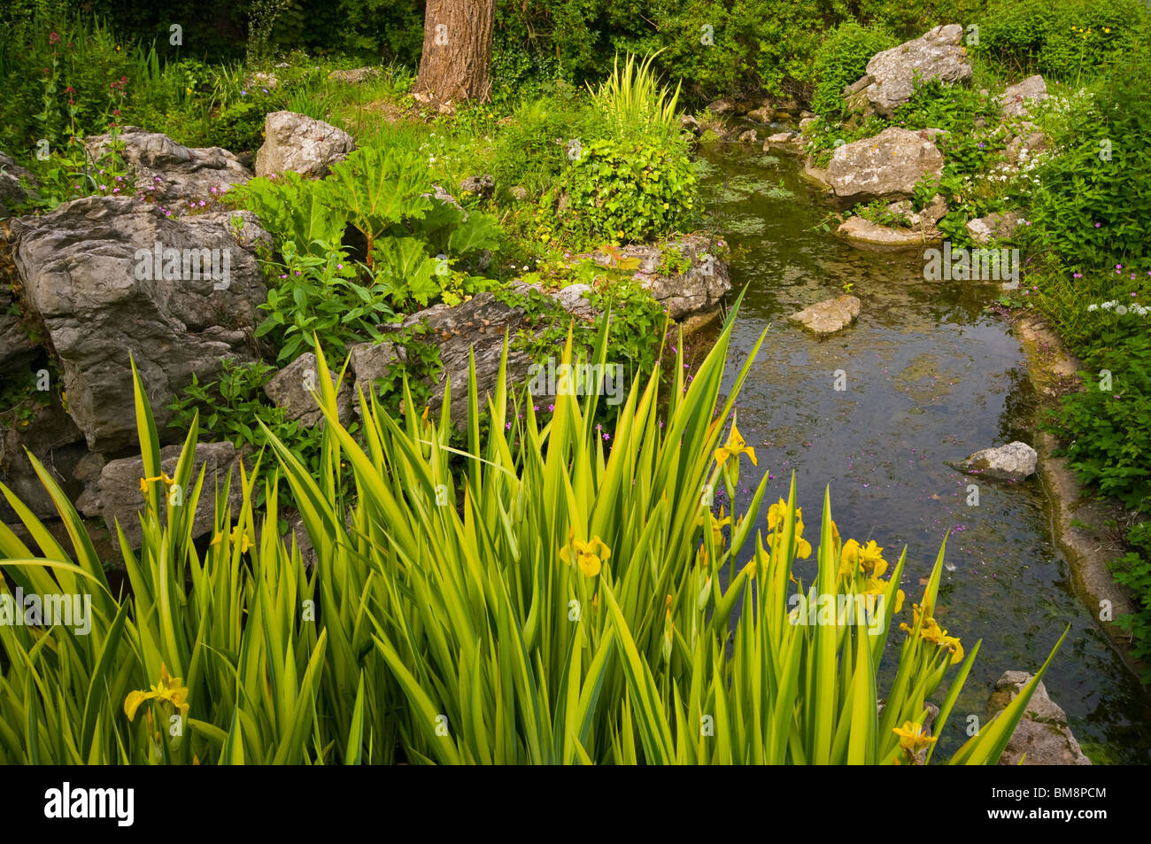 English Countryside Stream Stock Photo - Alamy