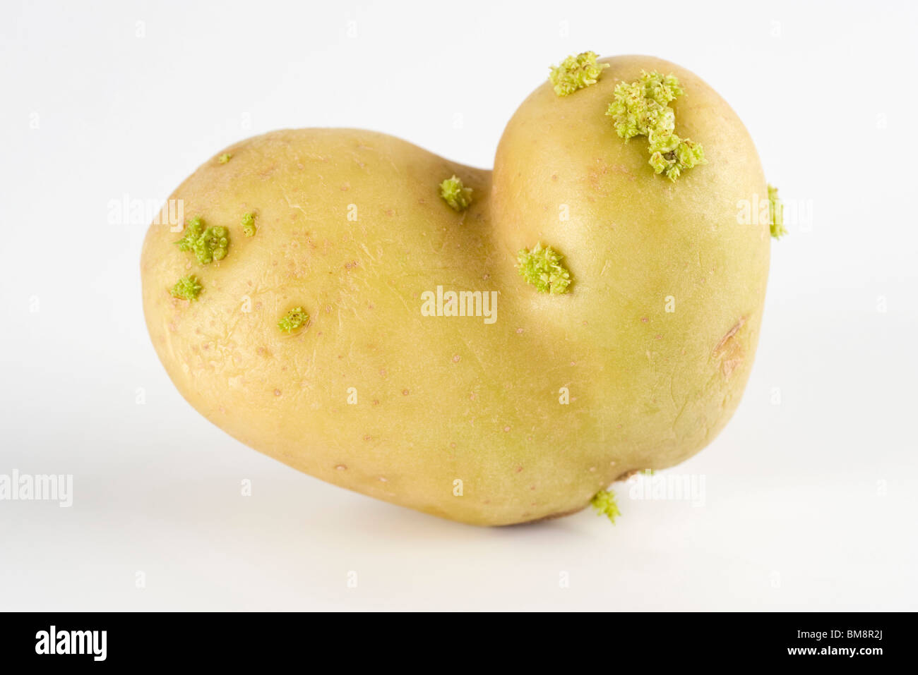 Misshapen potato hi-res stock photography and images - Alamy