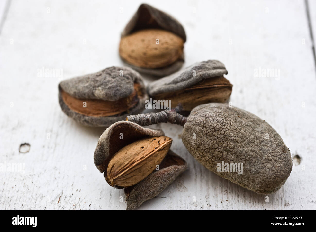 Cracking almonds hi-res stock photography and images - Alamy
