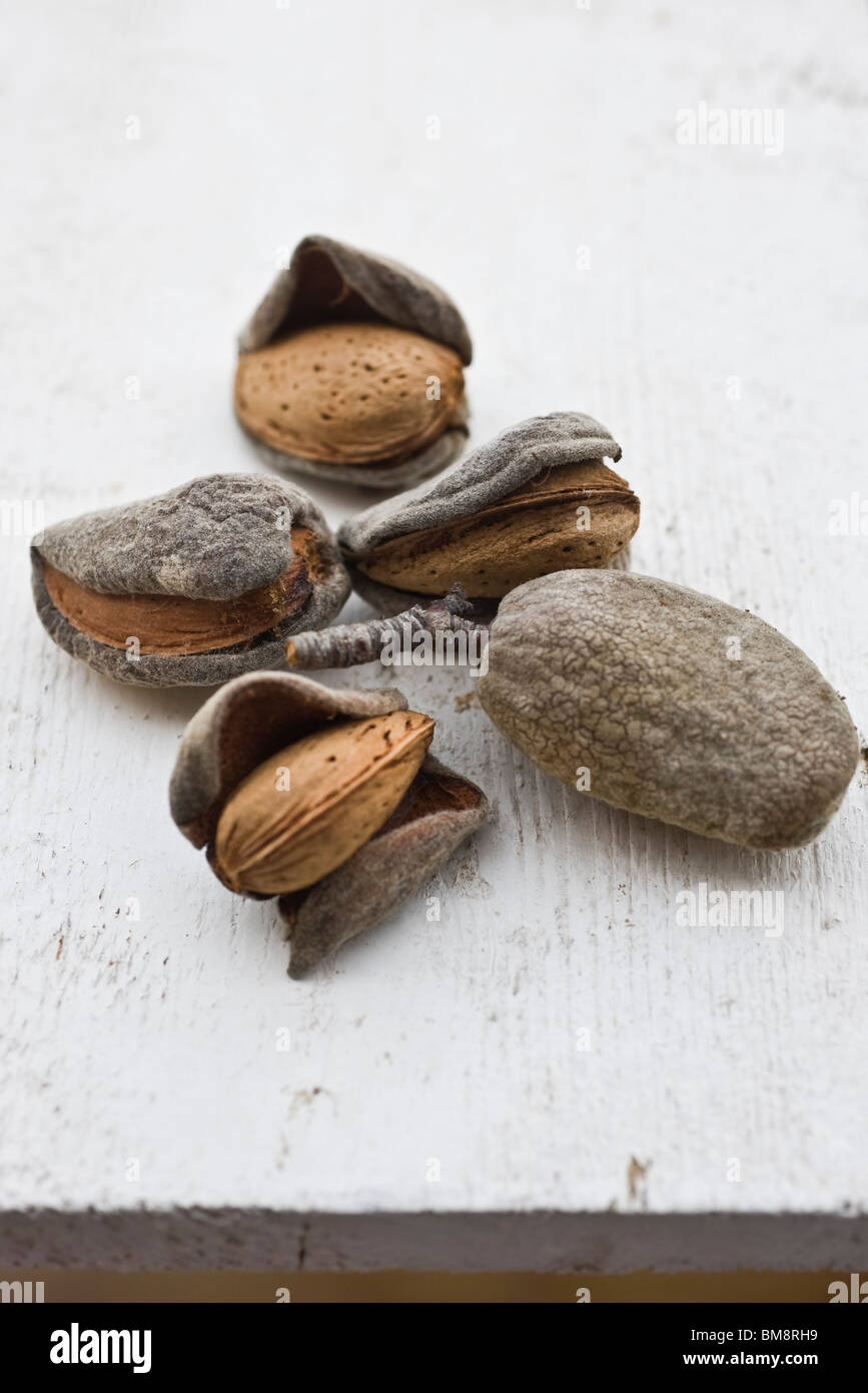 Cracking almonds hi-res stock photography and images - Alamy