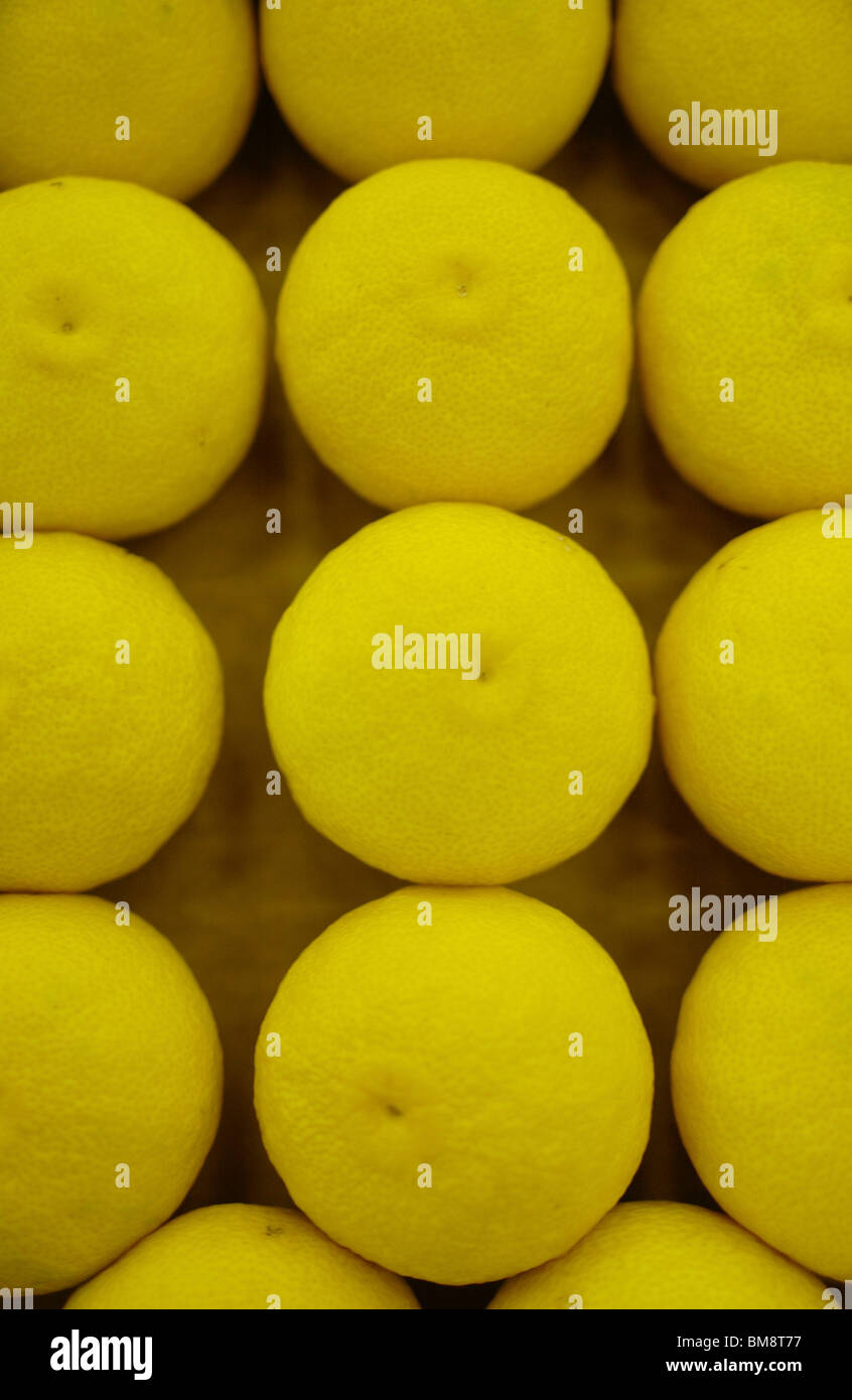 Yuzu fruits, close up, full frame Stock Photo - Alamy