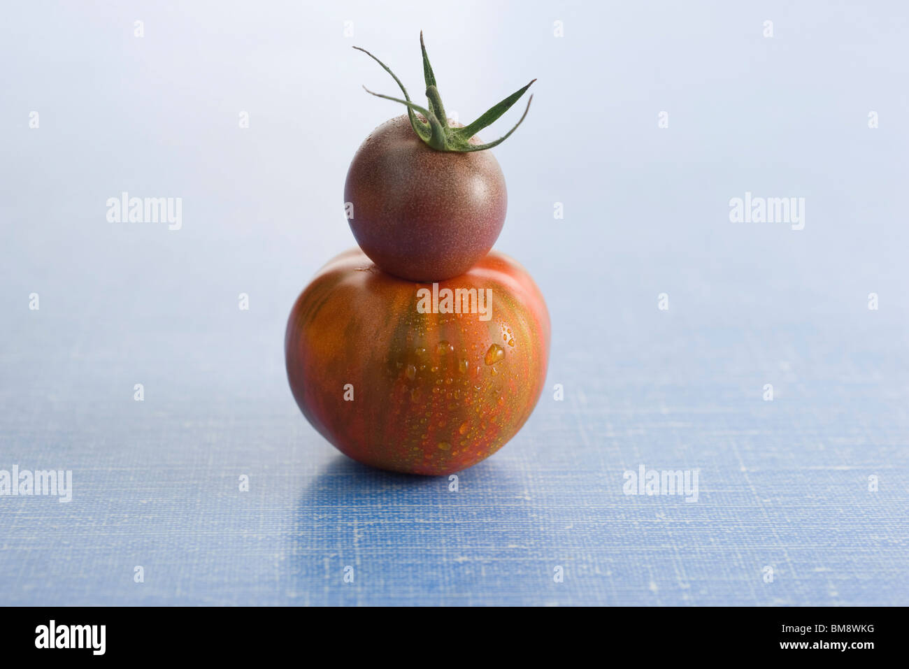 One tomato stacked hi-res stock photography and images - Alamy