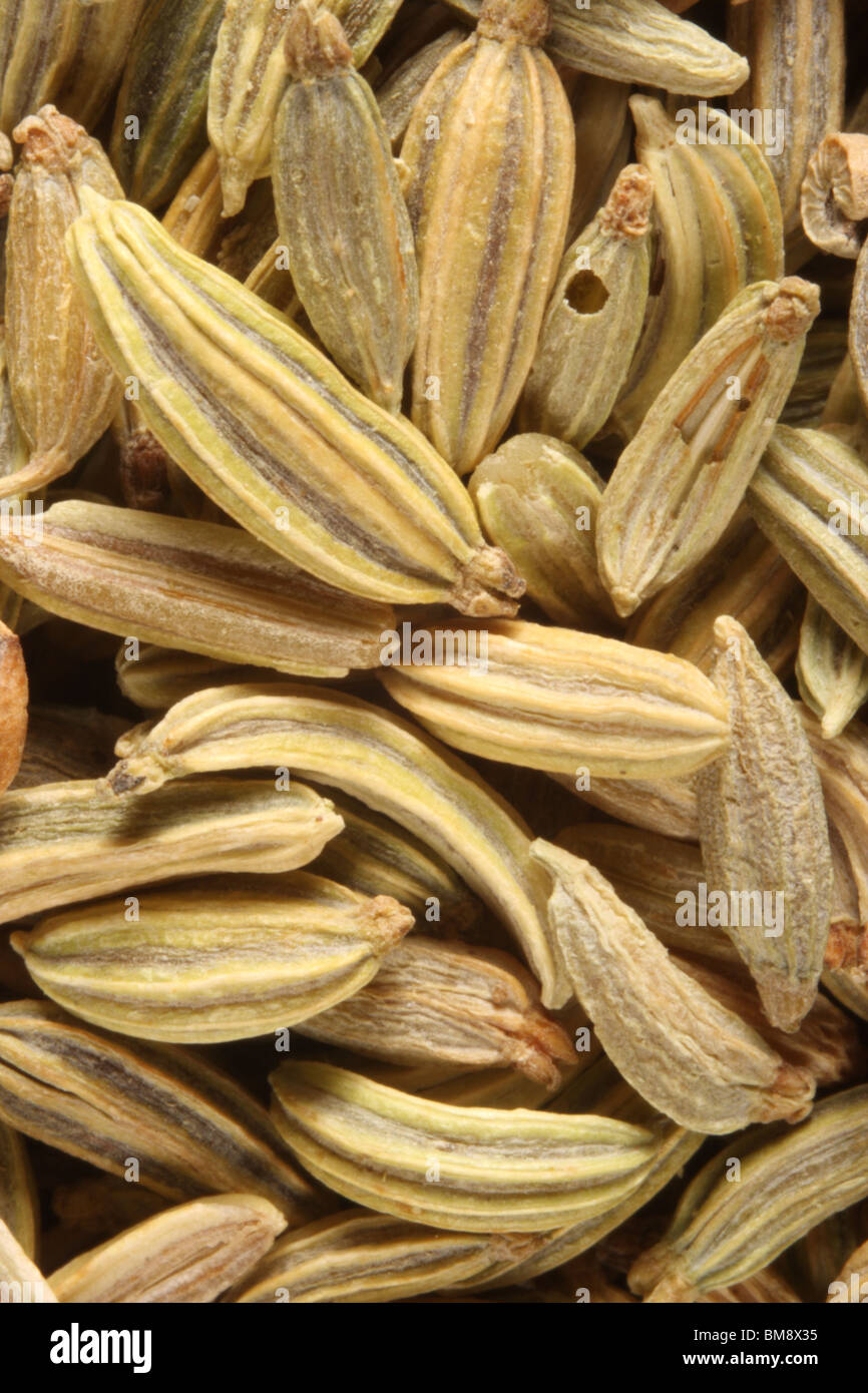 Fennel seed macro Stock Photo - Alamy