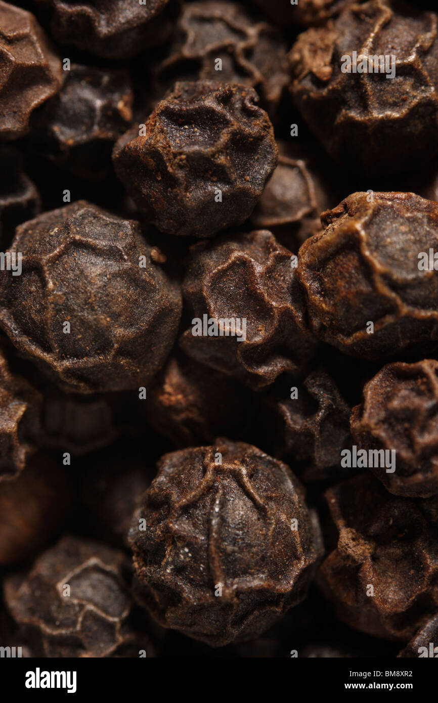 Tellicherry Black Pepper High Resolution Stock Photography and Images ...