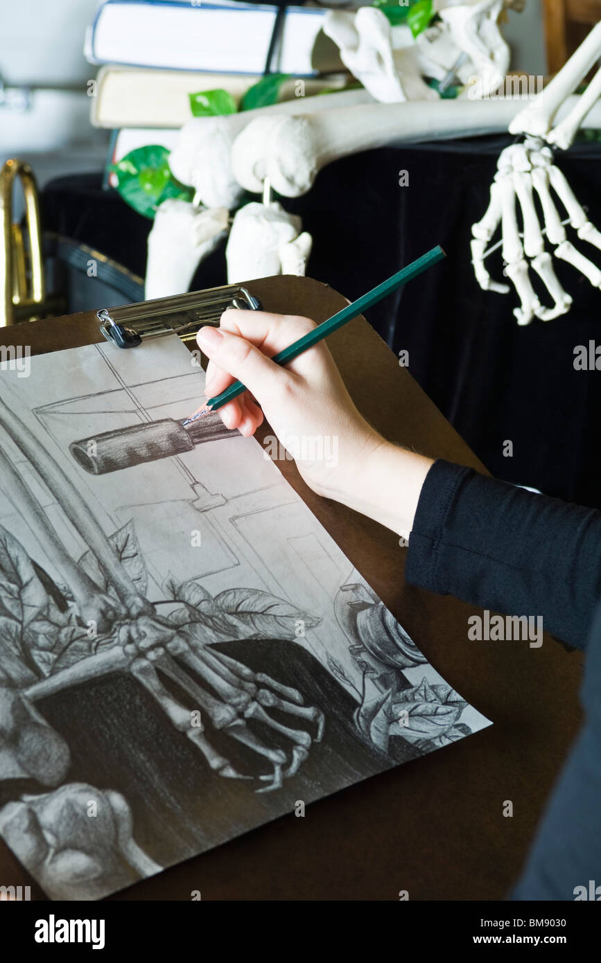 Artist sketching still life drawing Stock Photo - Alamy