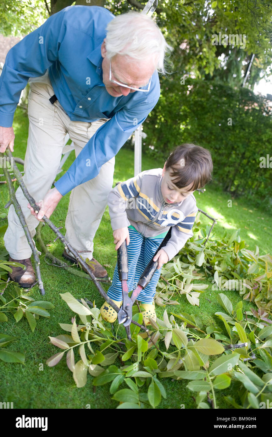 grandfather and grandson clipping tree branches Stock Photo - Alamy