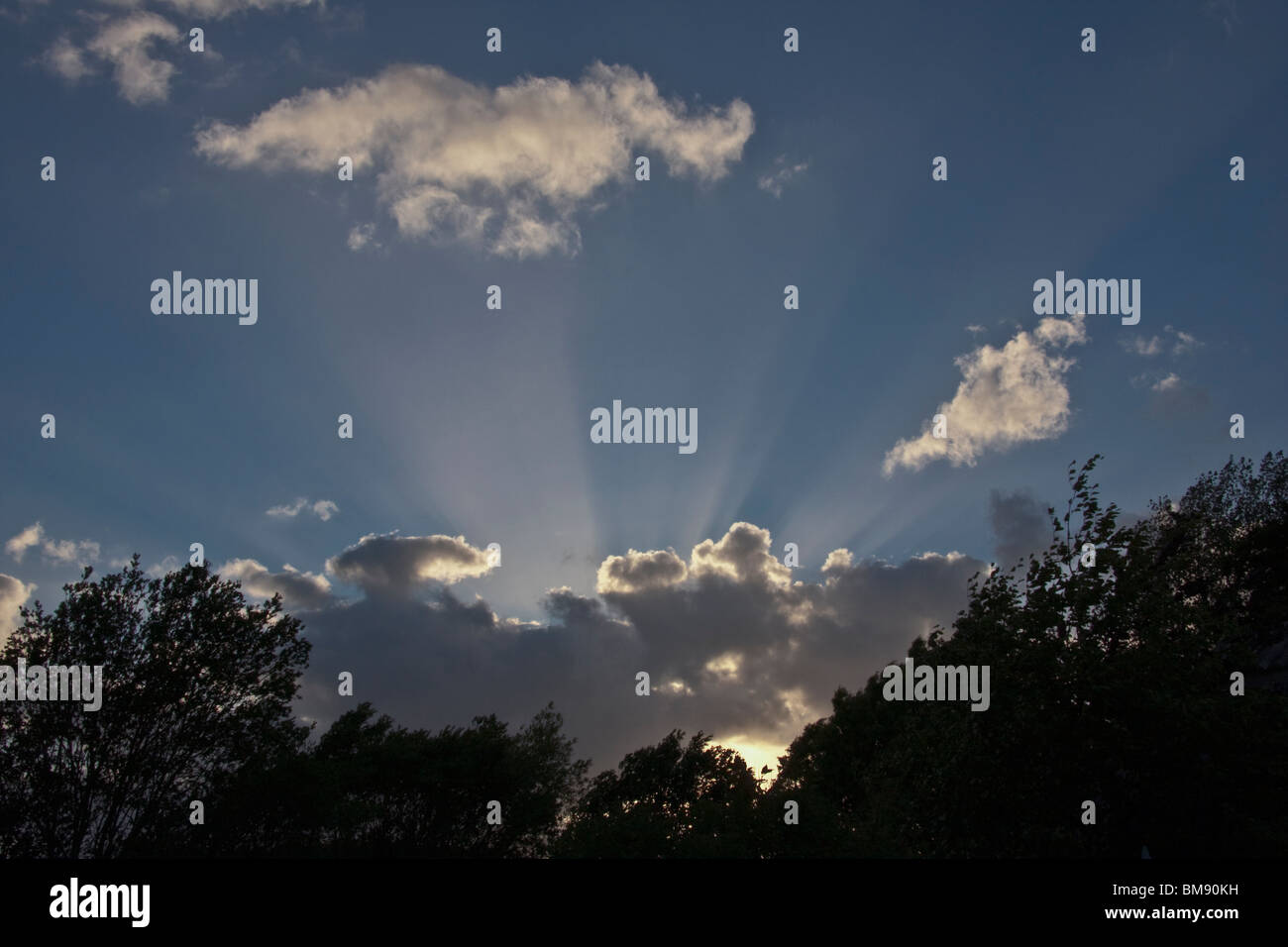 Sun rays silhouette hi-res stock photography and images - Alamy
