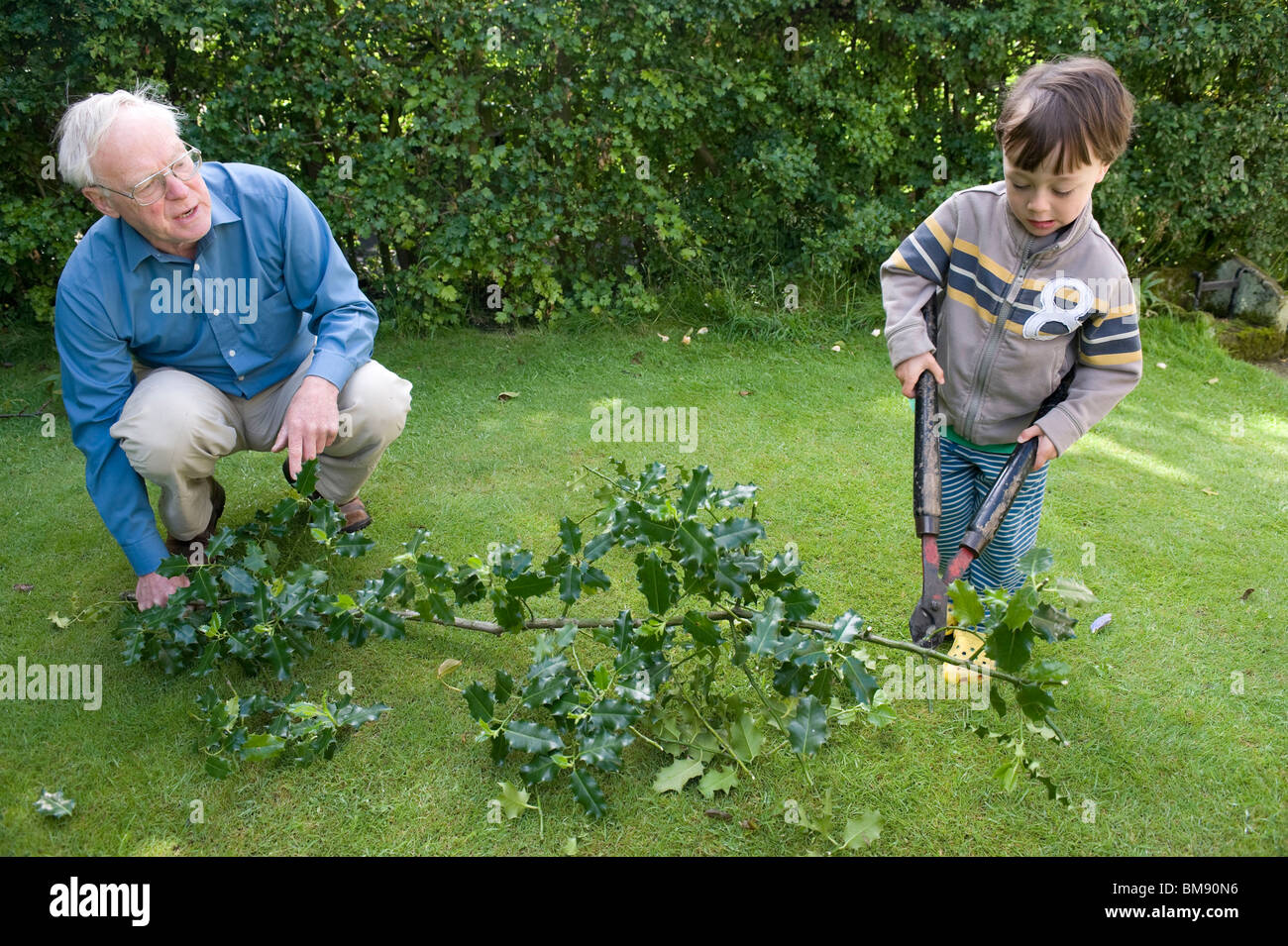 grandfather and grandson clipping tree branches Stock Photo - Alamy