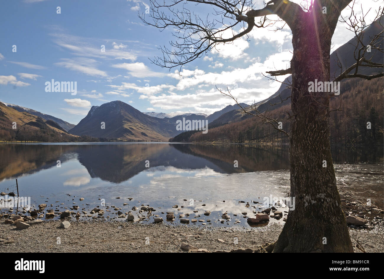Buttermere Lake and valley with Fleetwith Pike seen through trees at ...