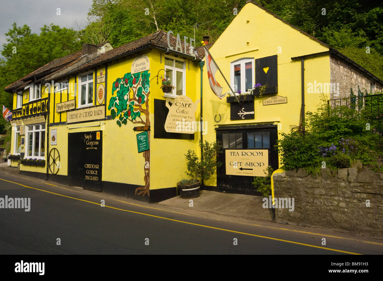 Cheddar tea rooms hi-res stock photography and images - Alamy
