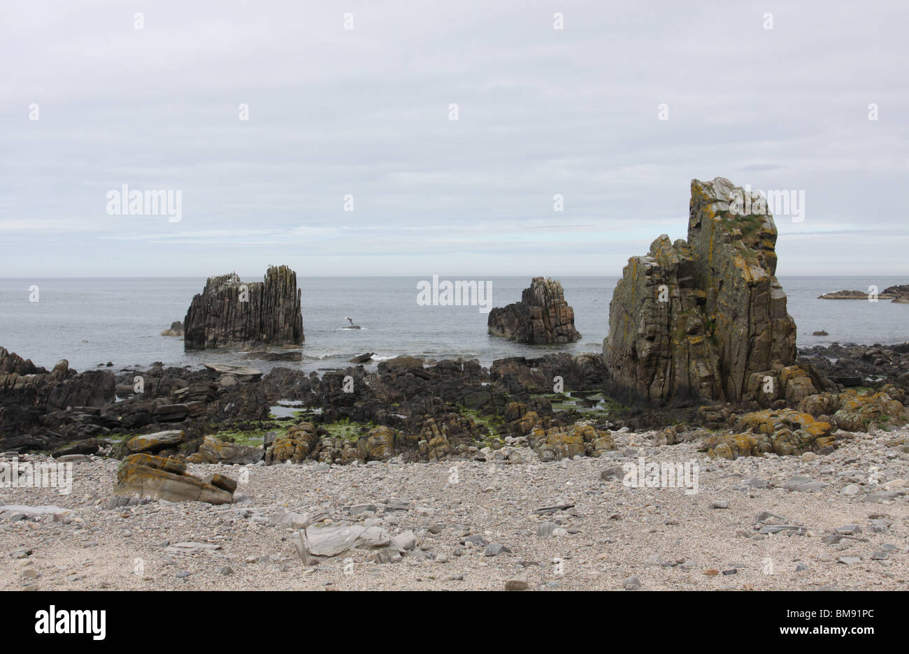 Logie head hi-res stock photography and images - Alamy
