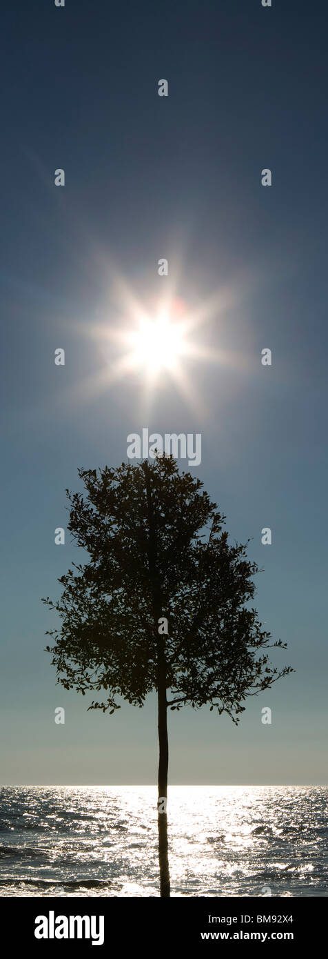 Rising sun in background hi-res stock photography and images - Alamy