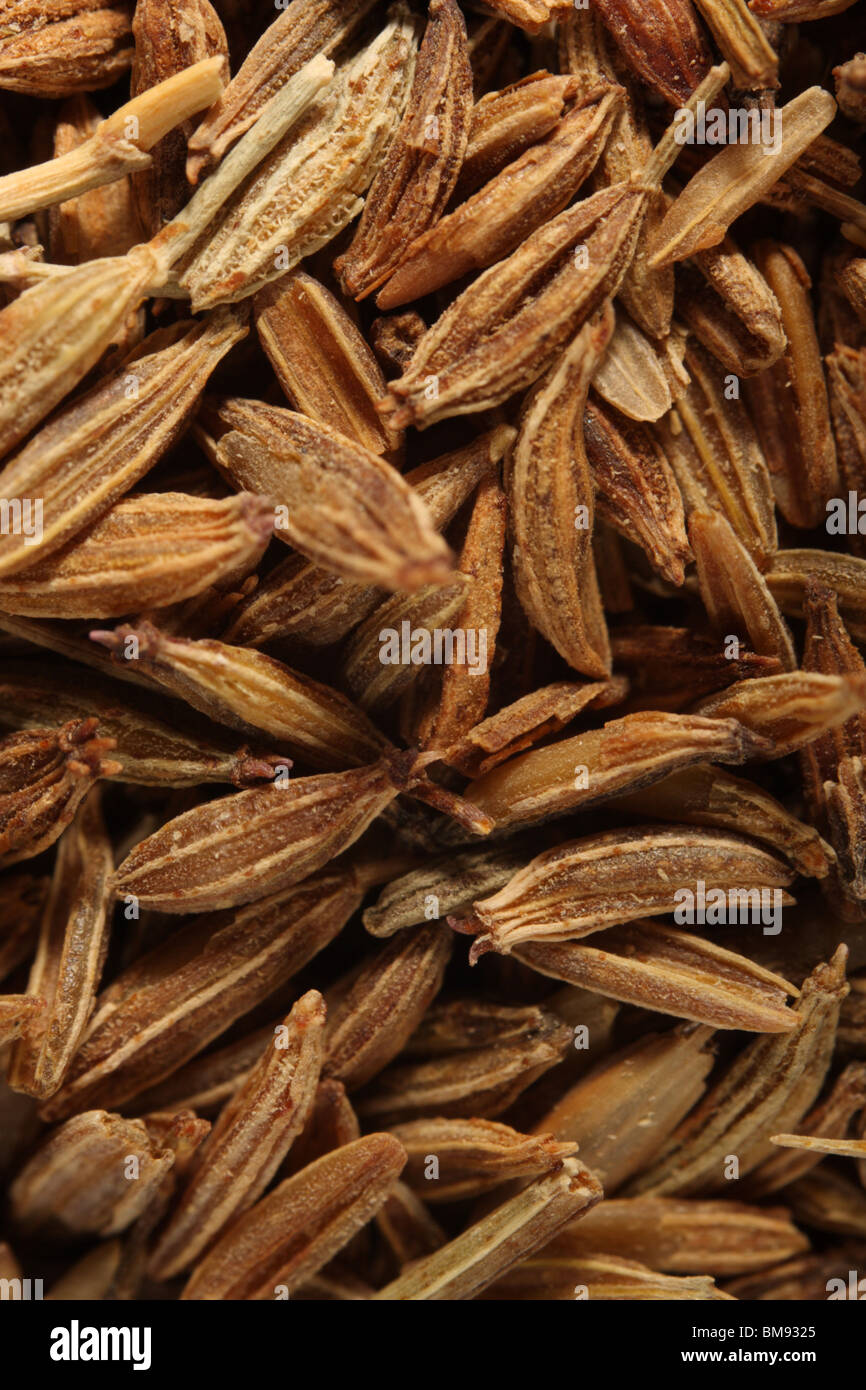 Cumin seed macro Stock Photo - Alamy