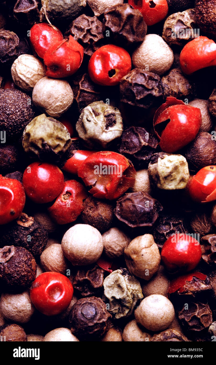 Tellicherry black pepper hi-res stock photography and images - Alamy