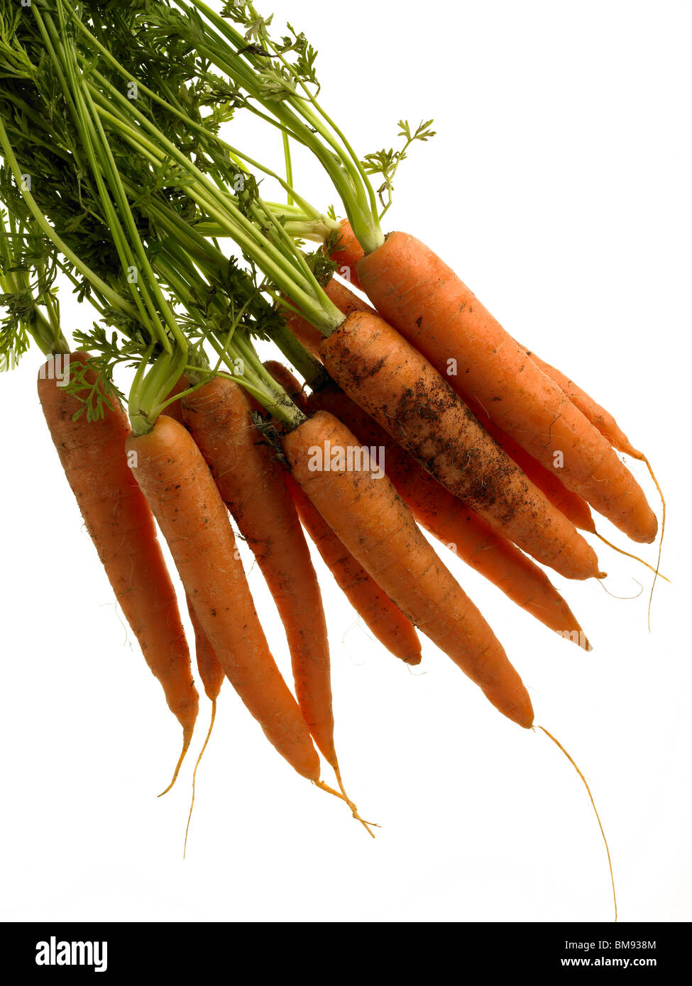 Carrots with their tops hi-res stock photography and images - Alamy