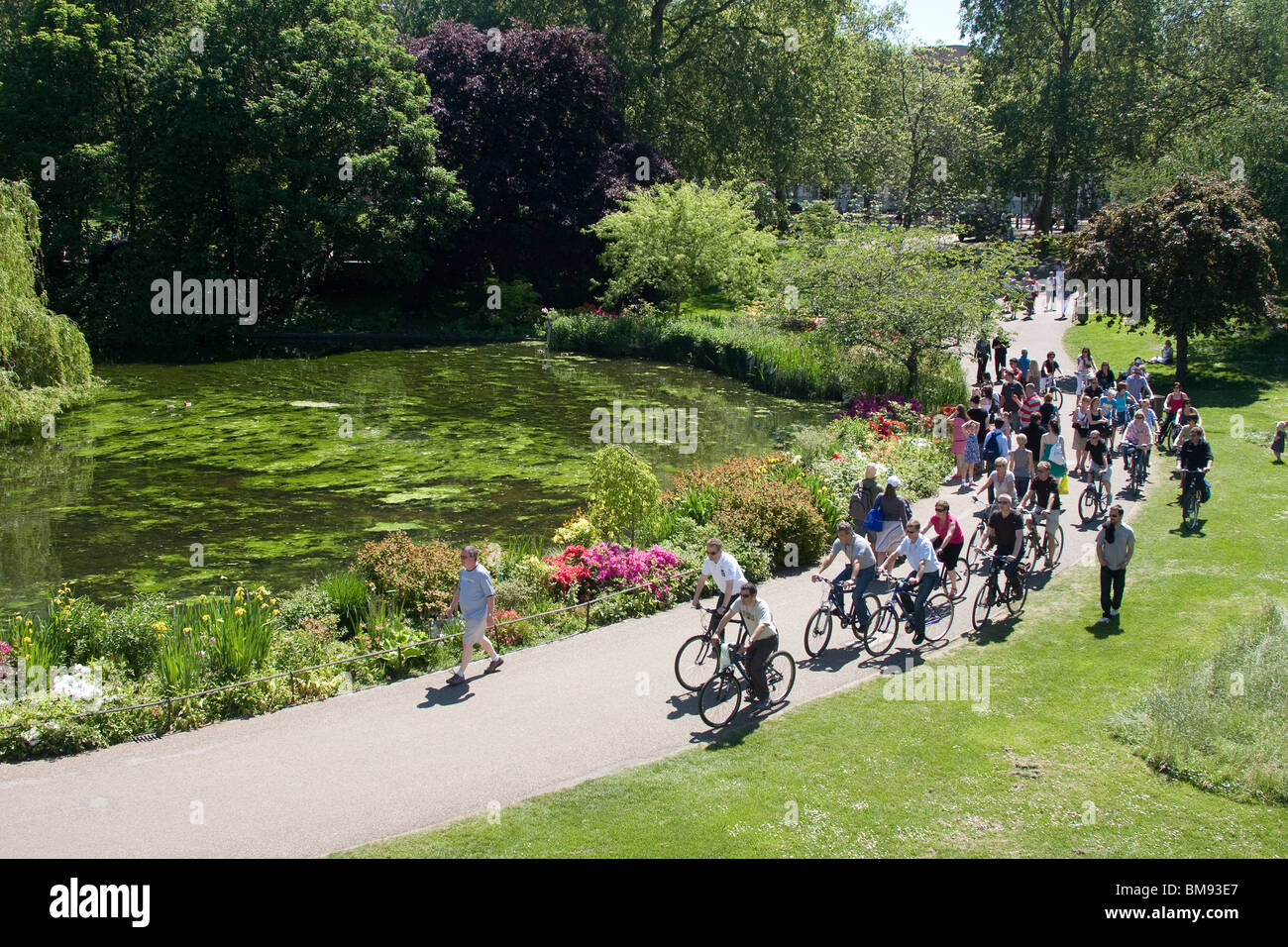 cyclists cycles path flowers lake trees stagnant Stock Photo - Alamy