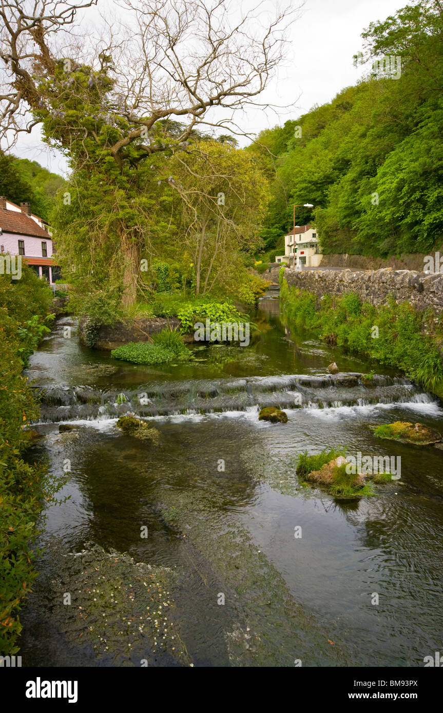 River yeo hi-res stock photography and images - Alamy